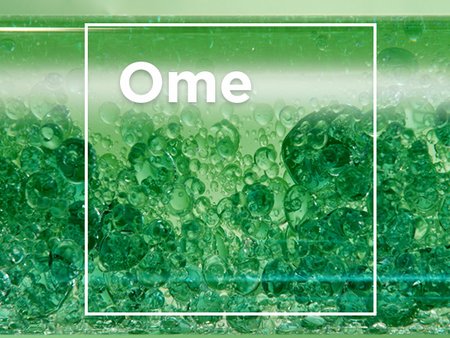 Learn About Our Ingredients | Shea Butter Omega 6| Garnier Arabia