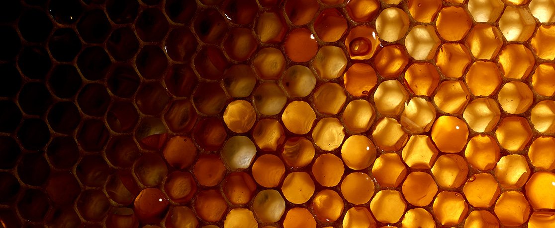 Learn About Our Ingredients | Beeswax | Garnier Arabia