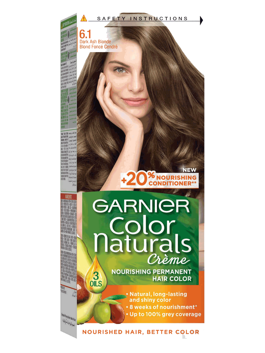 6.1 - BLOND FONCÉ CENDRÉ/ 100% COLOR/ GARNIER