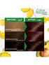 6.3 Mocca Permanent Hair Color | Color Naturals | Garnier Arabia